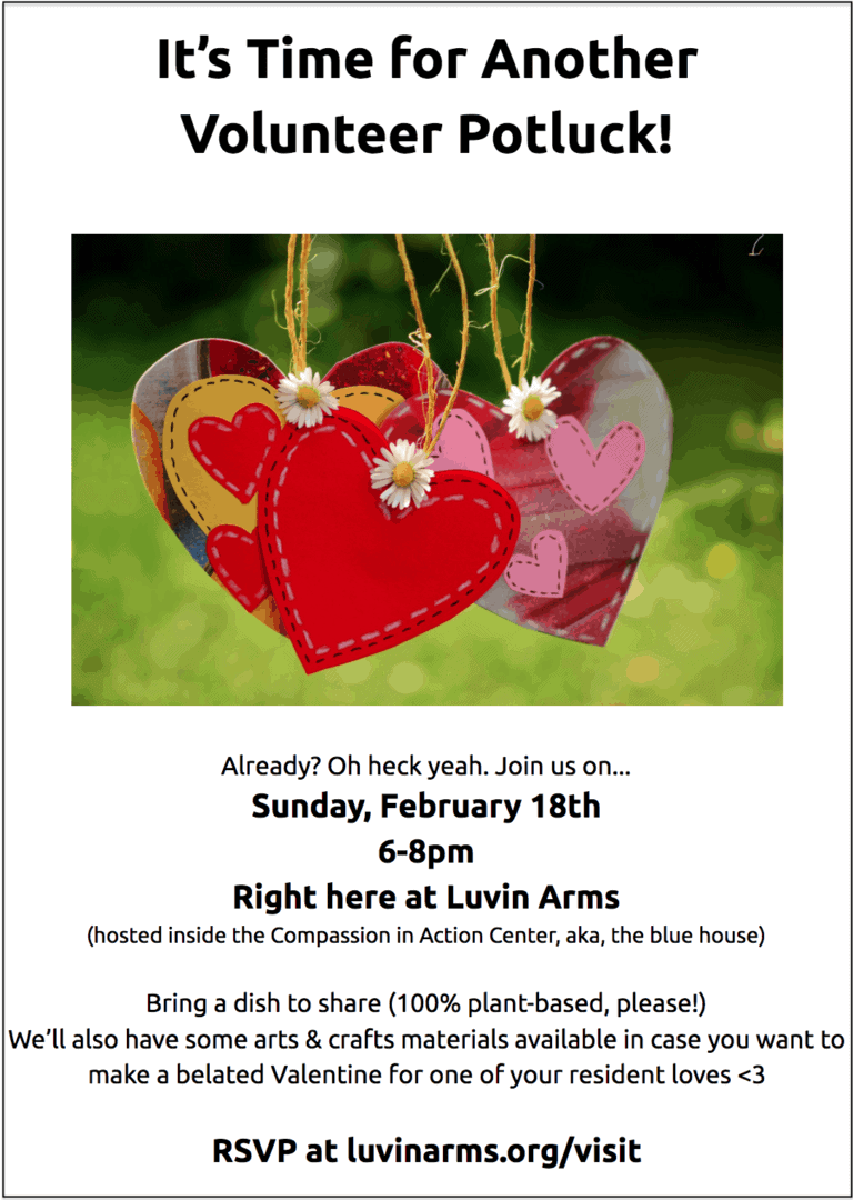 Running A Successful Volunteer Potluck Program - The Open Sanctuary Project