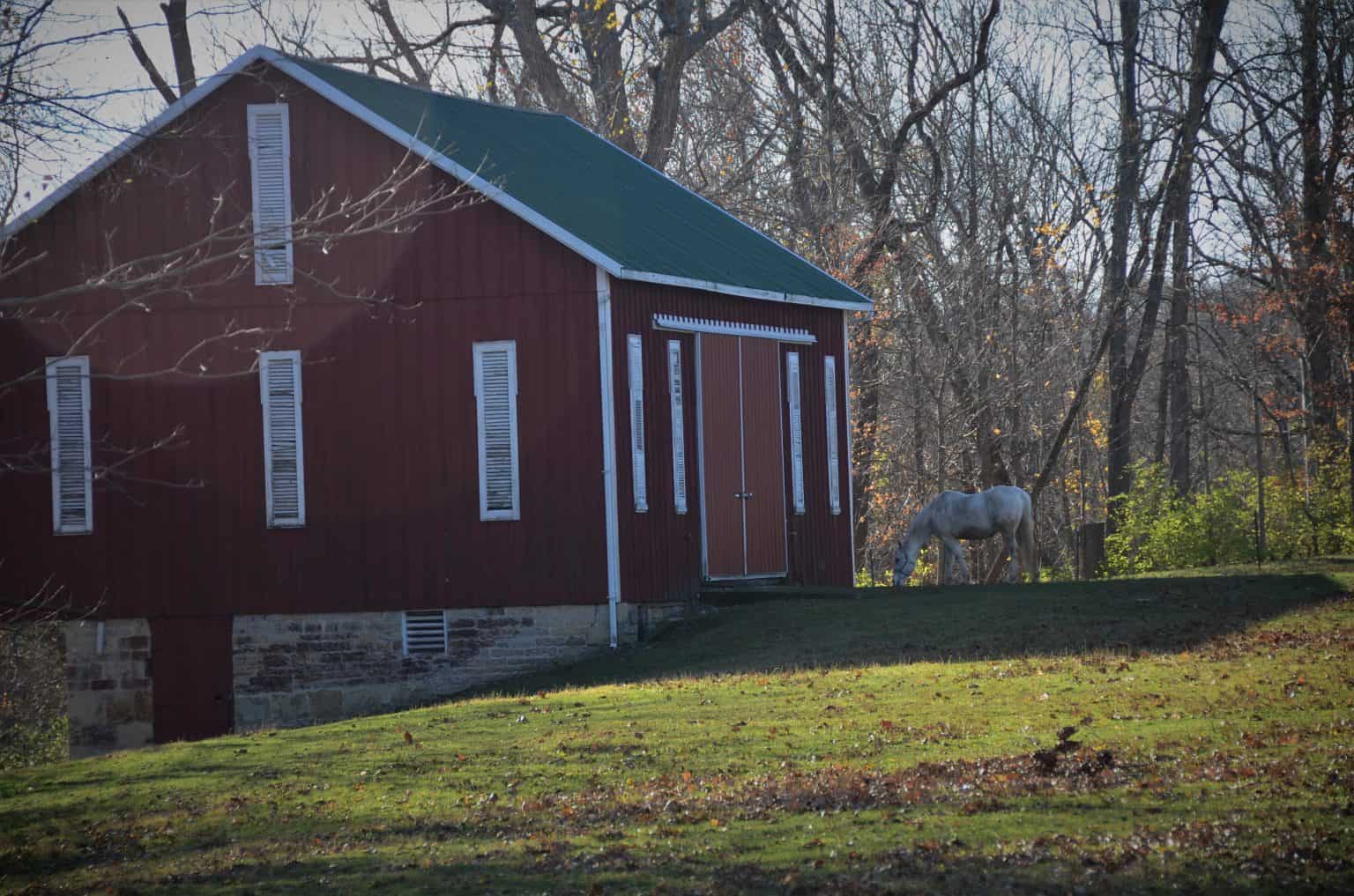 Creating A Good Home For Horses - The Open Sanctuary Project