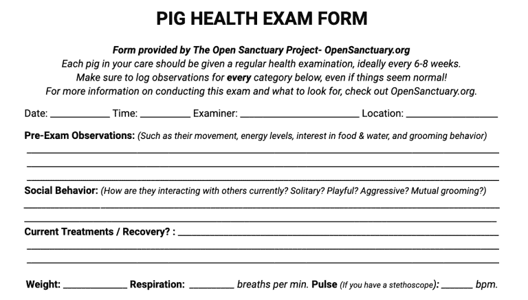 The Open Sanctuary Project's Pig Health Exam Form - The Open Sanctuary ...