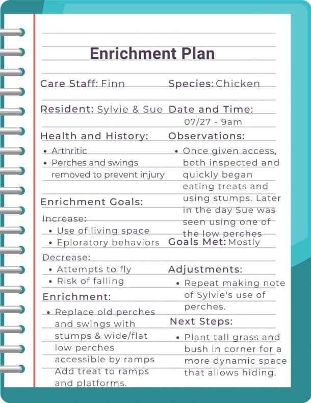 Creating An Enriching Life For Chickens - The Open Sanctuary Project