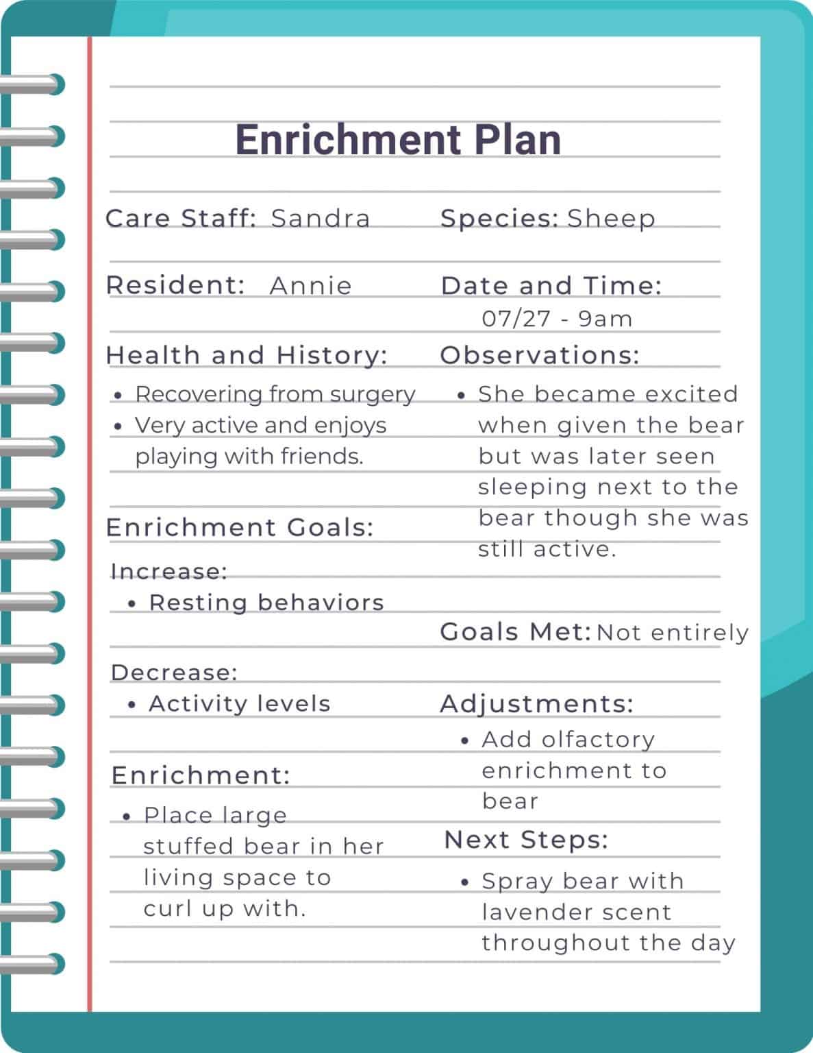 Creating An Enriching Life For Sheep - The Open Sanctuary Project