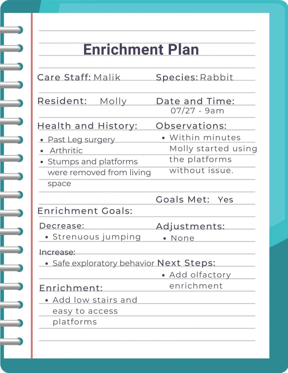 Creating An Enriching Life For Rabbits - The Open Sanctuary Project