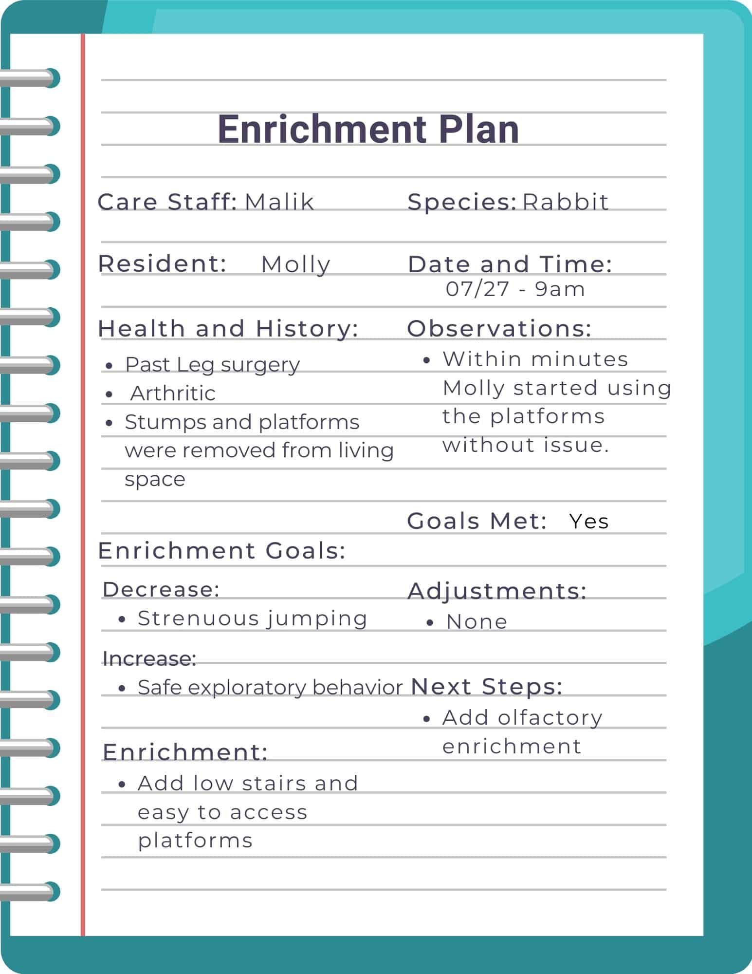 Creating An Enriching Life For Rabbits - The Open Sanctuary Project
