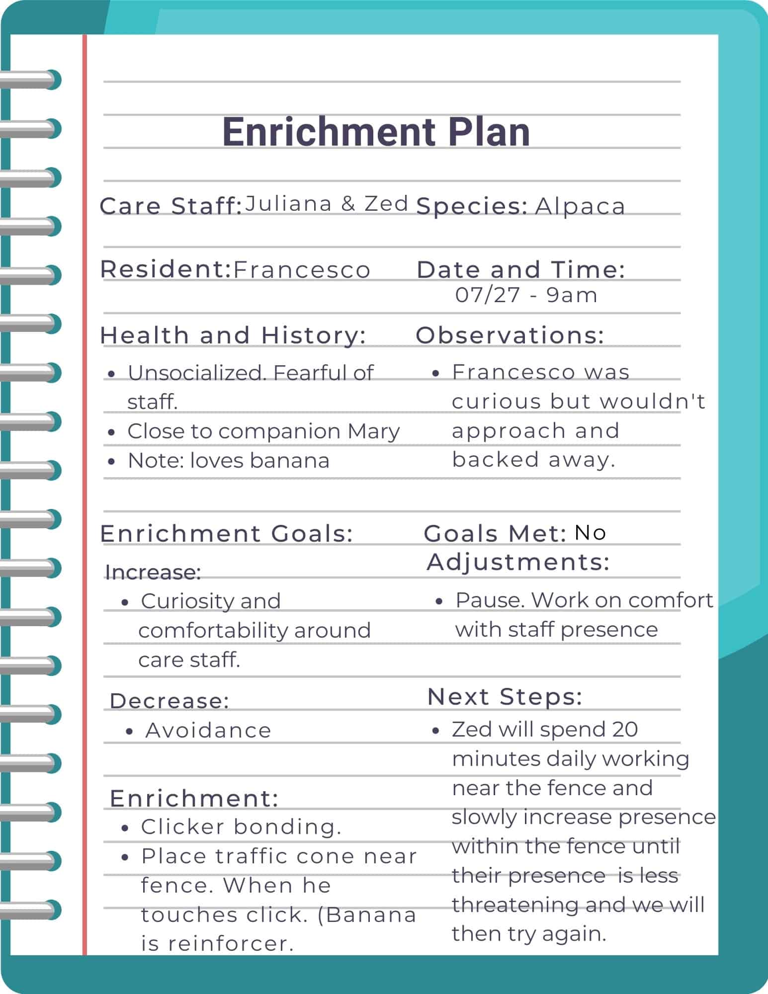 Creating An Enriching Life For Alpacas - The Open Sanctuary Project