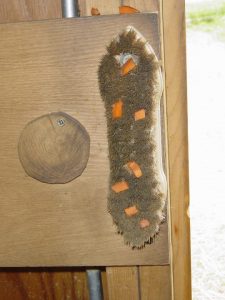 Creating An Enriching Life For Alpacas - The Open Sanctuary Project