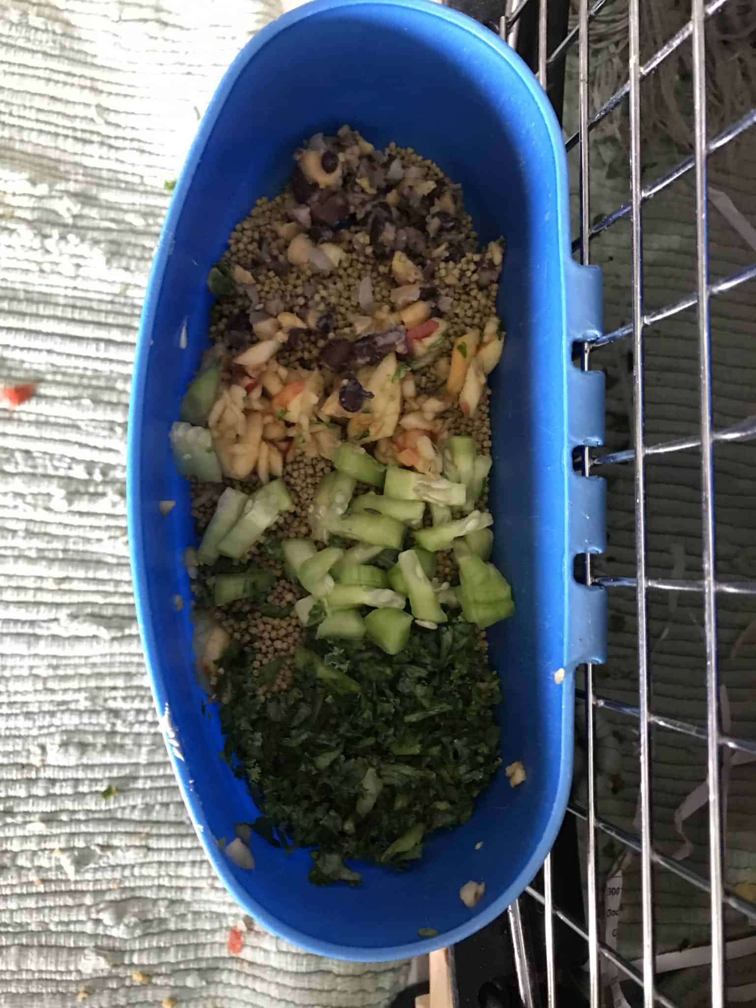 Introduction To Supportive Care For Chickens With Disabilities: Non ...