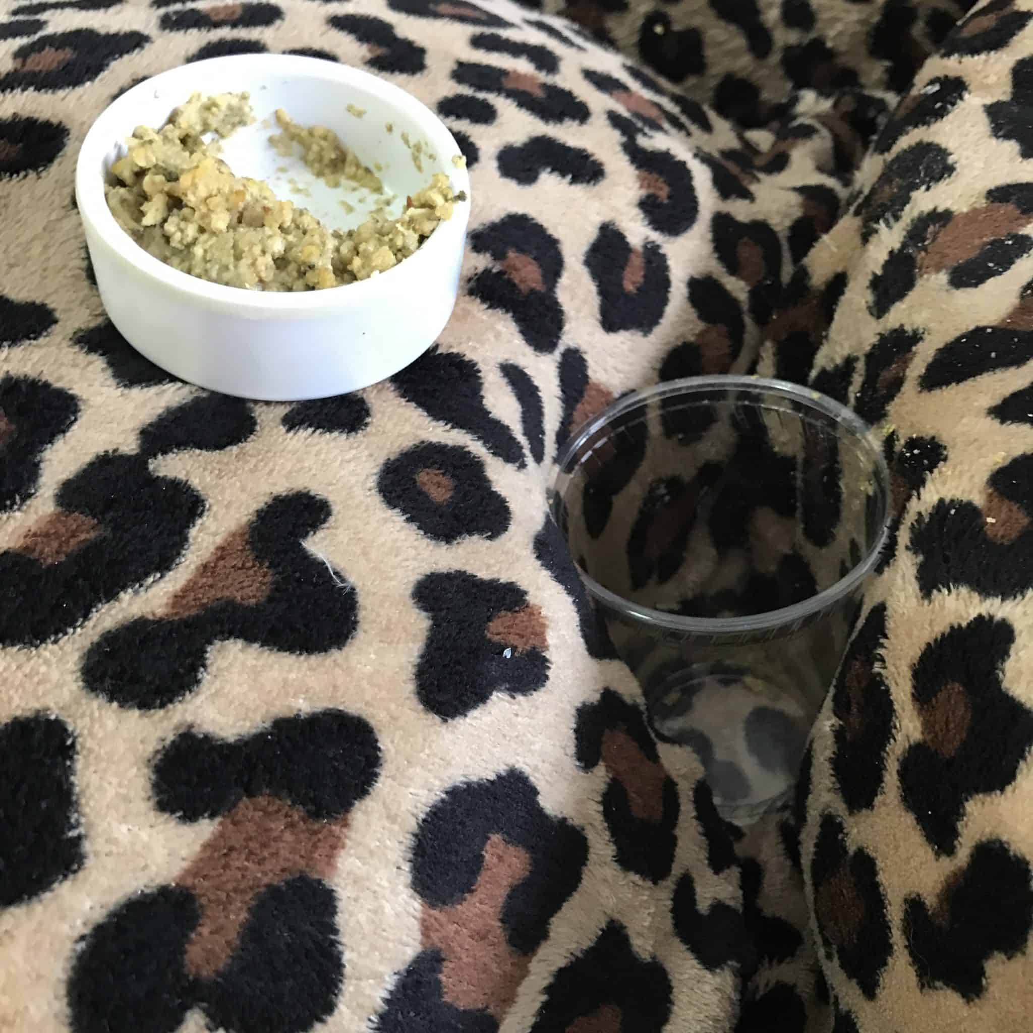 Introduction To Supportive Care For Chickens With Disabilities: Non ...