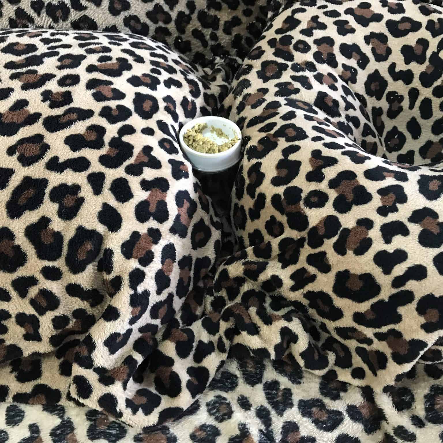 Introduction To Supportive Care For Chickens With Disabilities: Non ...