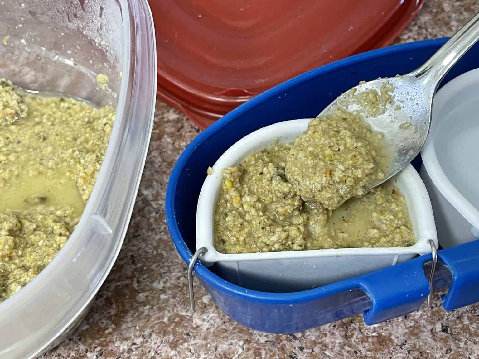 Introduction To Supportive Care For Chickens With Disabilities: Non ...