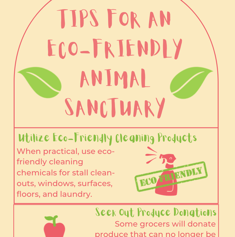 Tips For An Eco-Friendly Animal Sanctuary Infographic - The Open ...