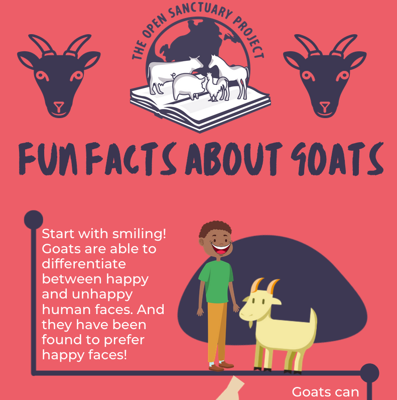 Fun Facts About Goats Infographic - The Open Sanctuary Project