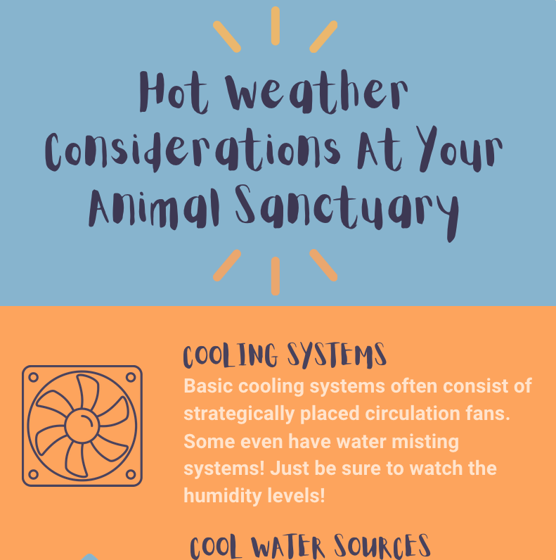 Hot Weather Considerations At Your Animal Sanctuary Infographic - The ...