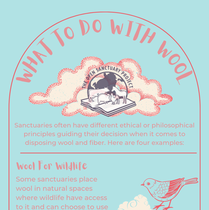 What To Do With Wool And Fiber At Your Sanctuary Infographic - The Open ...