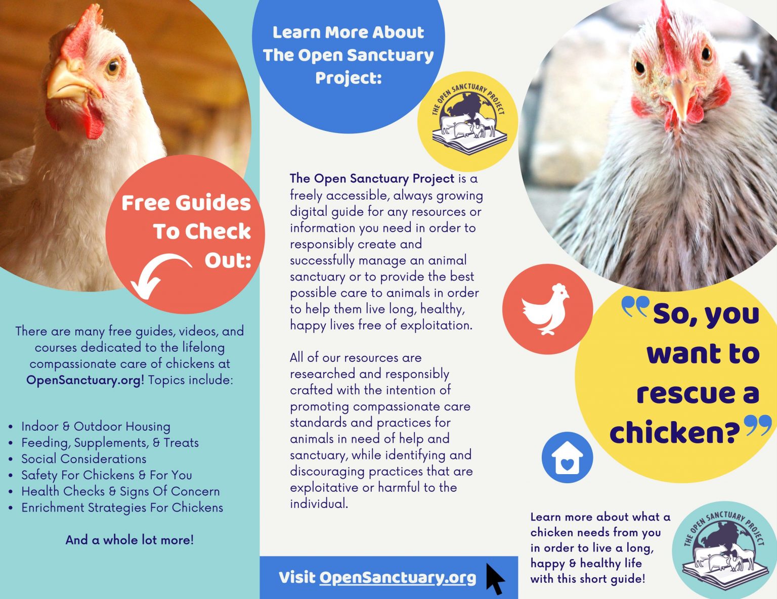 The Open Sanctuary Project's "So You Want To Rescue A Chicken" Brochure - The Open Sanctuary Project