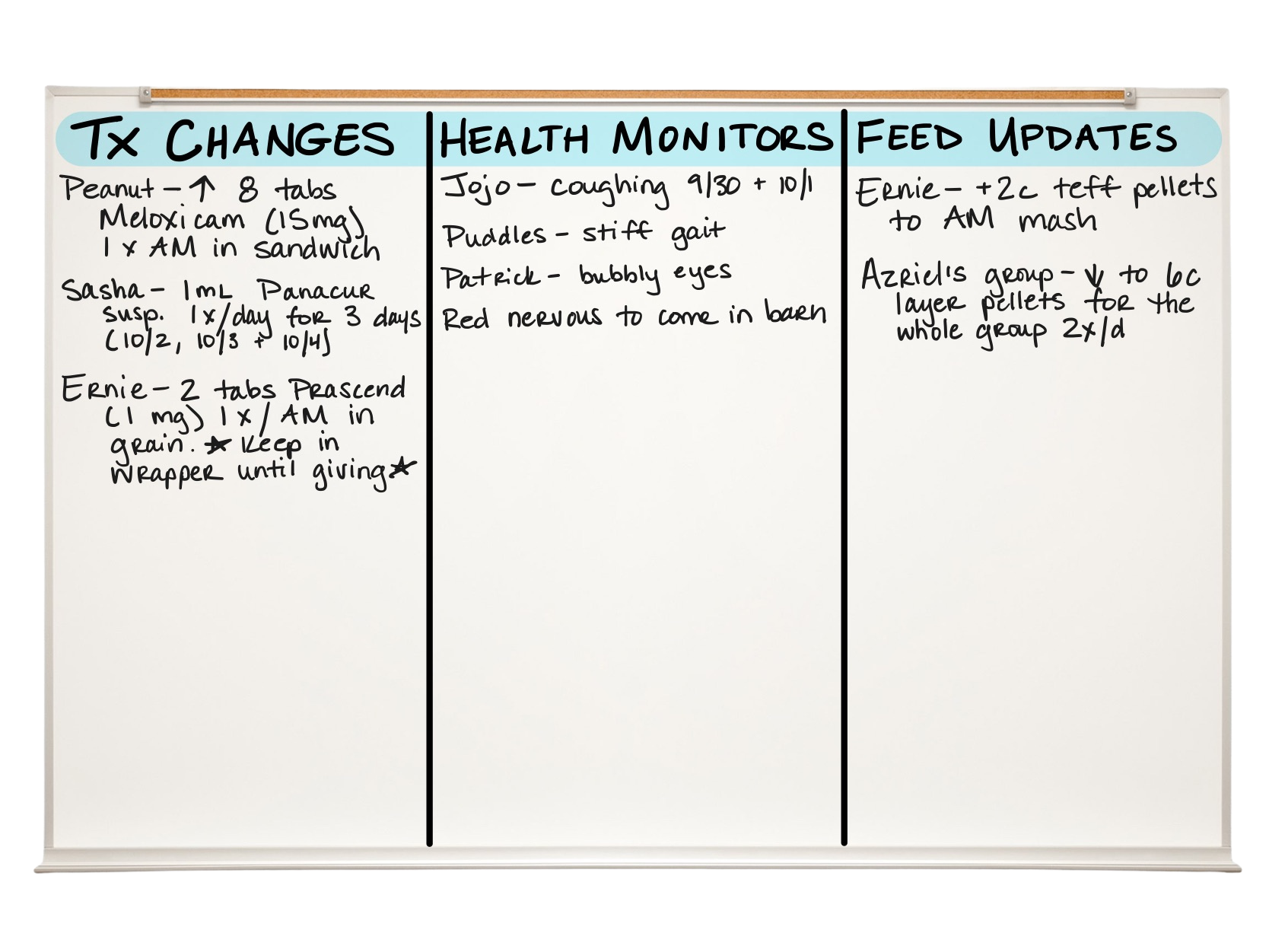 Utilizing Whiteboards For Communication At Your Animal Sanctuary - The ...