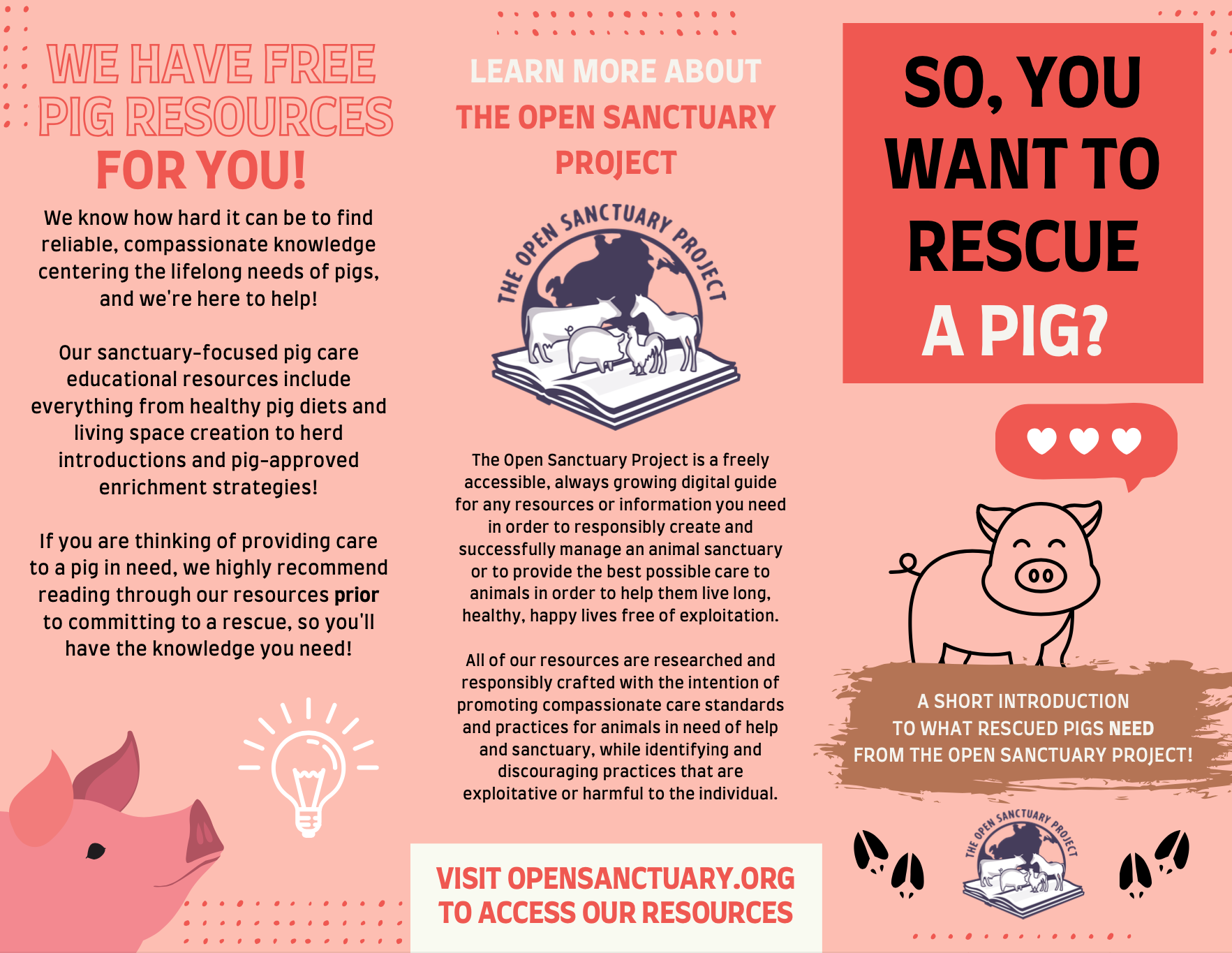 The Open Sanctuary Project's "So You Want To Rescue A Pig" Brochure - The Open Sanctuary Project