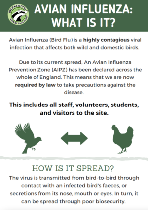Advanced Topics In Resident Health: Avian Influenza - The Open ...