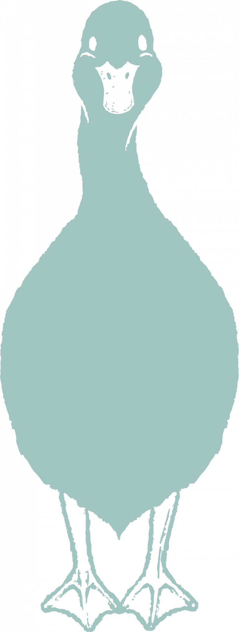 How to Conduct a Duck Health Check - The Open Sanctuary Project