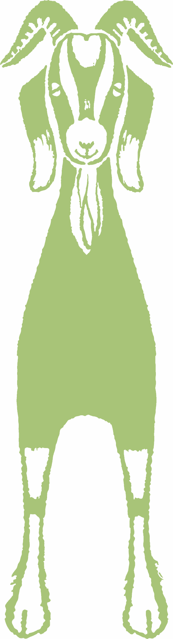 How to Conduct A Goat Health Check - The Open Sanctuary Project