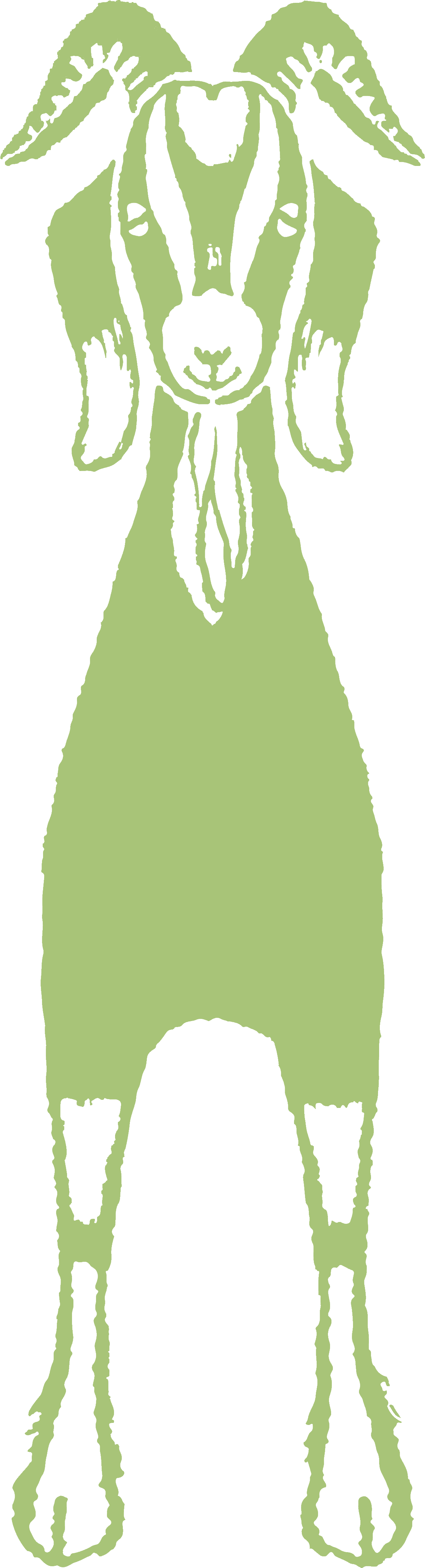 How to Conduct A Goat Health Check - The Open Sanctuary Project