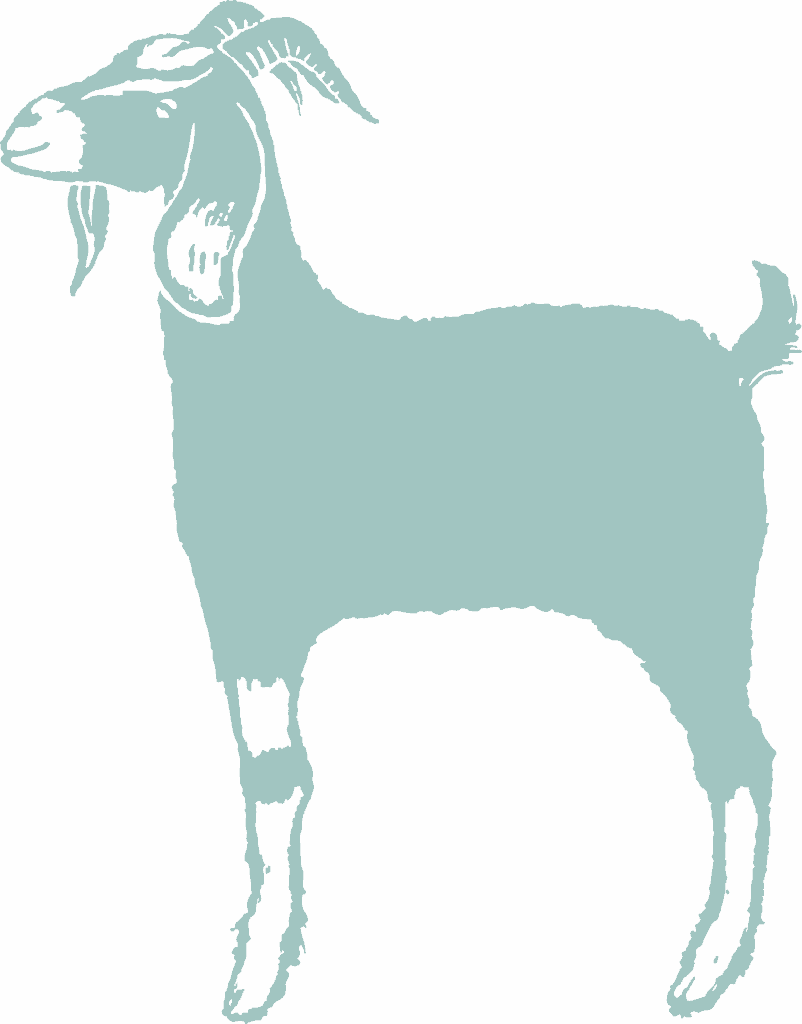 Goat Living Space Cleaning And Maintenance - The Open Sanctuary Project