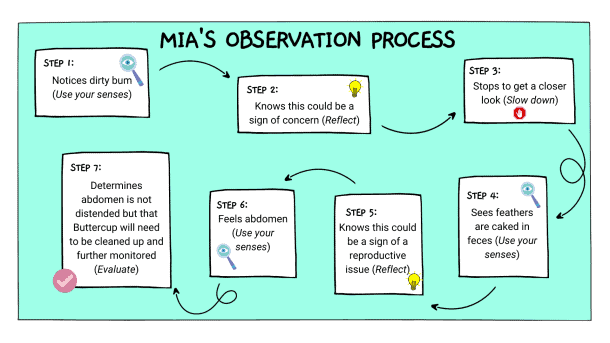 The Caregiver's Guide To Developing Your Observation Skills - The Open ...