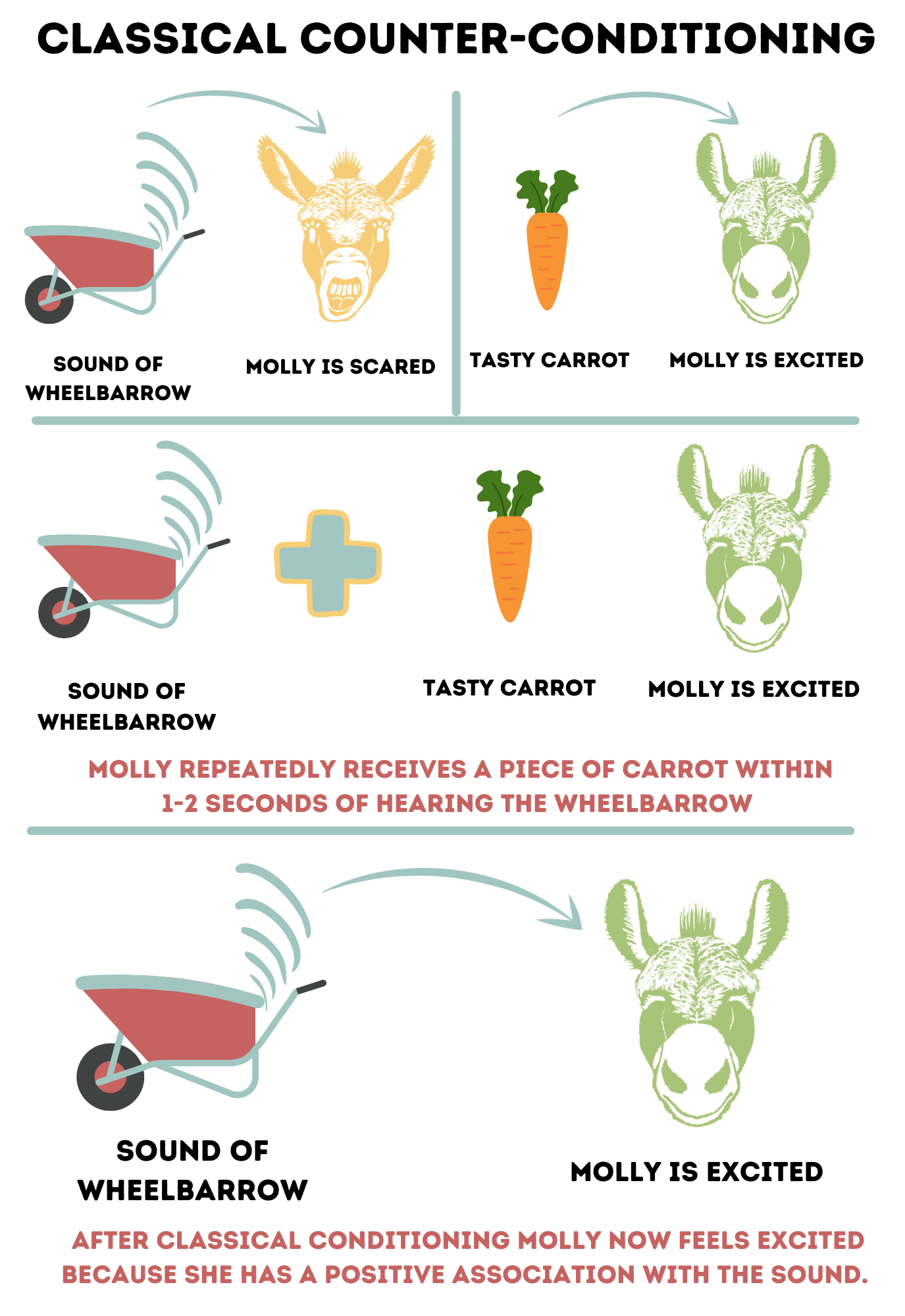 Behavior 103: Learning Theory For Caregivers - The Open Sanctuary Project