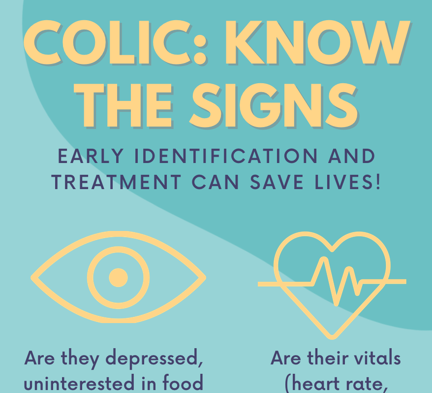 Colic: Know The Signs Infographic - The Open Sanctuary Project