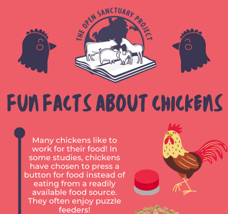 Brochures and Infographics Archives - Page 5 of 10 - The Open Sanctuary ...