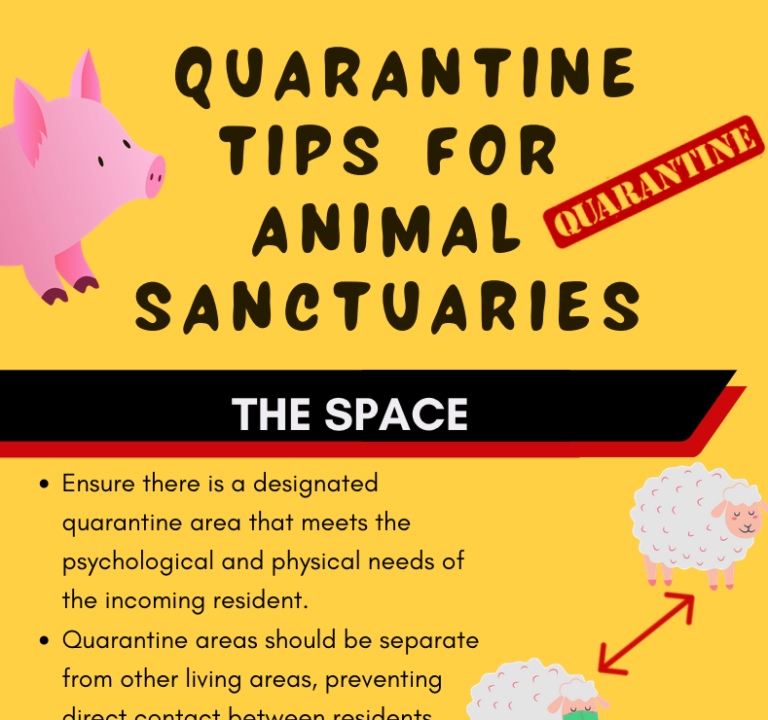 Brochures and Infographics Archives - The Open Sanctuary Project