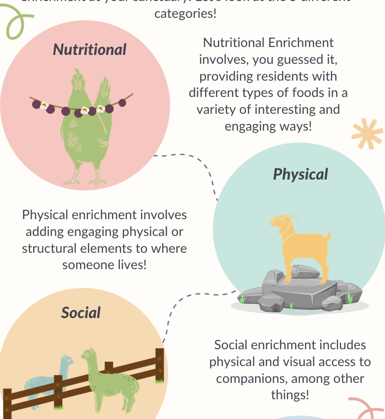 Time To Thrive: Categories Of Enrichment Infographic - The Open ...