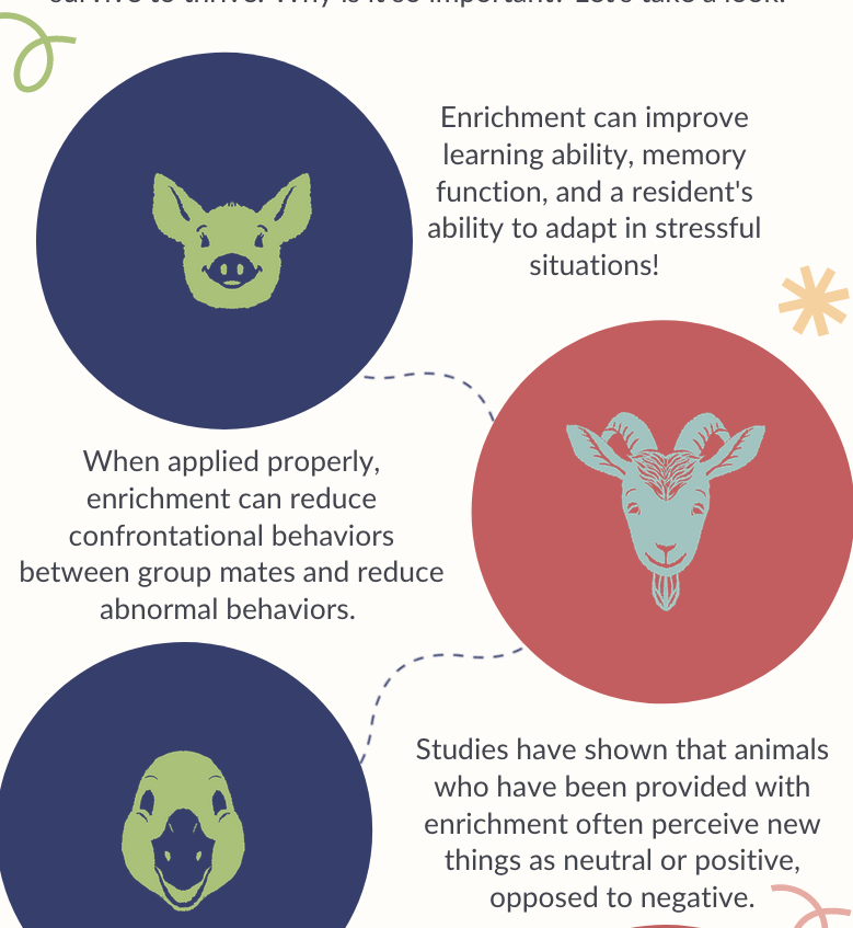 Time To Thrive: The Importance Of Enrichment Infographic - The Open Sanctuary Project