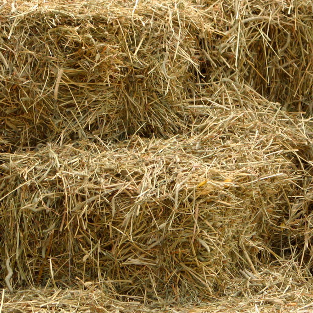 The Difference Between Straw And Hay - The Open Sanctuary Project