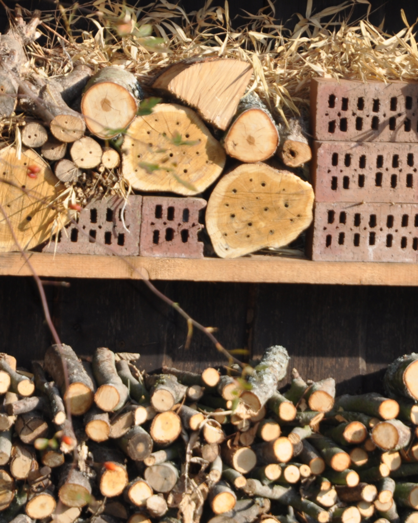 How To Be More Bee-Friendly At Your Sanctuary - The Open Sanctuary Project