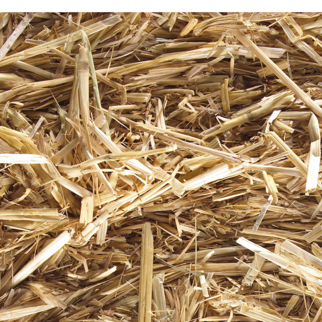 The Difference Between Straw And Hay - The Open Sanctuary Project