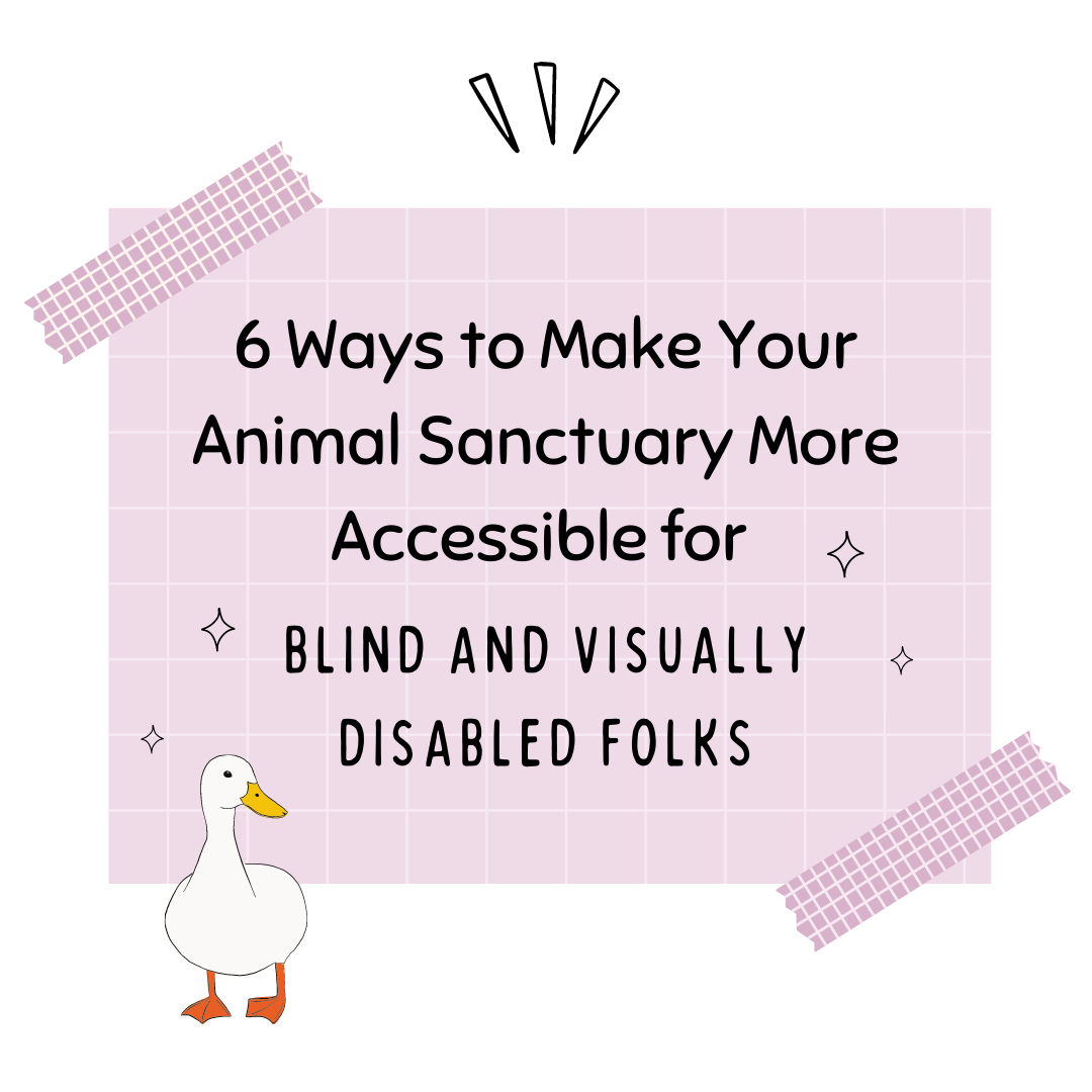 Accessibility for Blind and Visually Disabled Community Members at Your ...