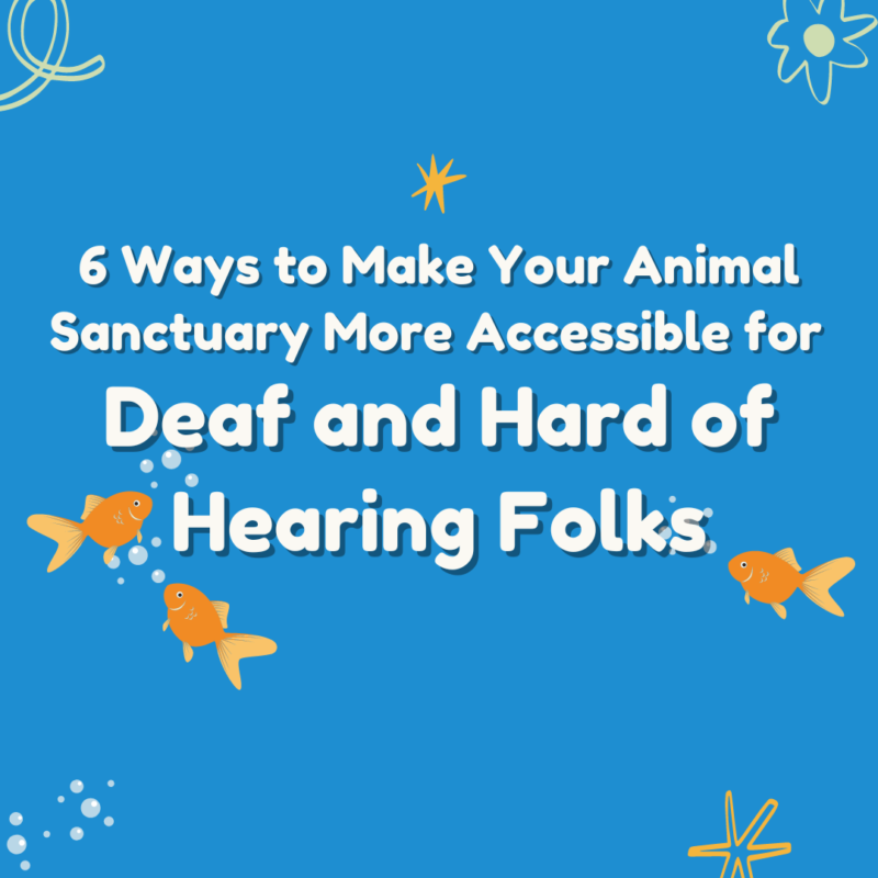 Accessibility for Deaf and Hard of Hearing Community Members at Your ...