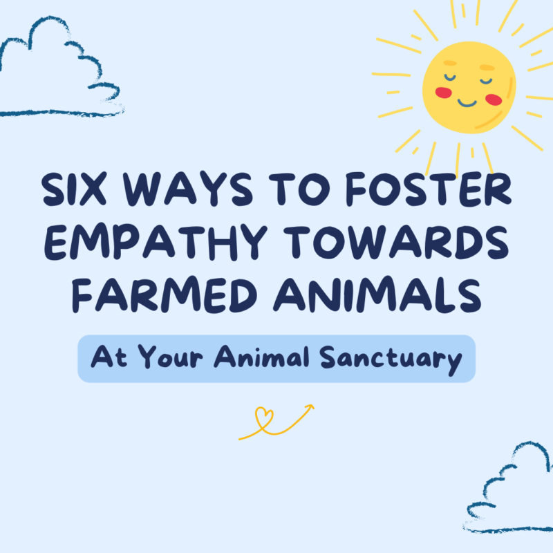 Fostering Empathy Towards Farmed Animals at Your Animal Sanctuary ...