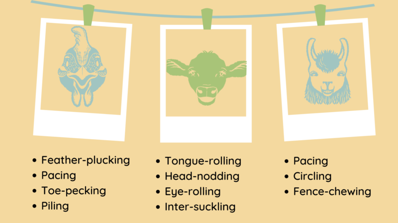 Identifying Abnormal Behaviors In Sanctuary Residents - The Open ...