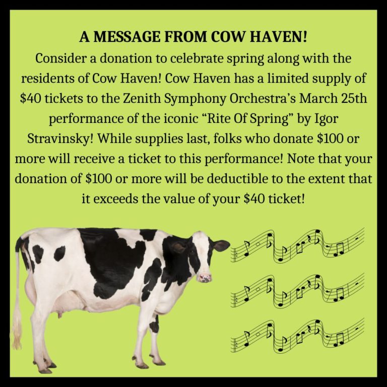 Understanding Donee Acknowledgment Letters At Your Animal Organization ...