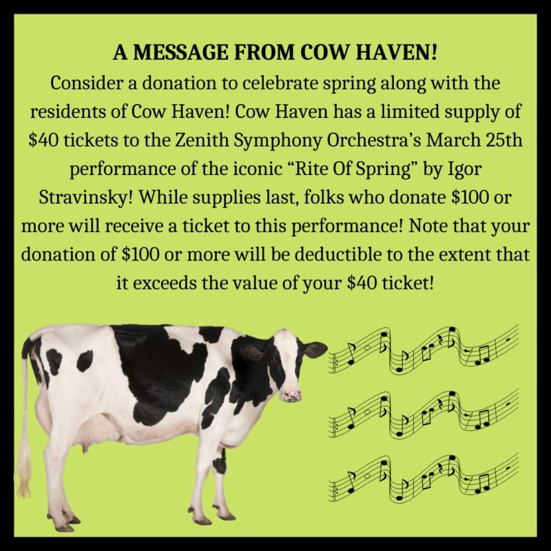Understanding Donee Acknowledgment Letters At Your Animal Organization ...