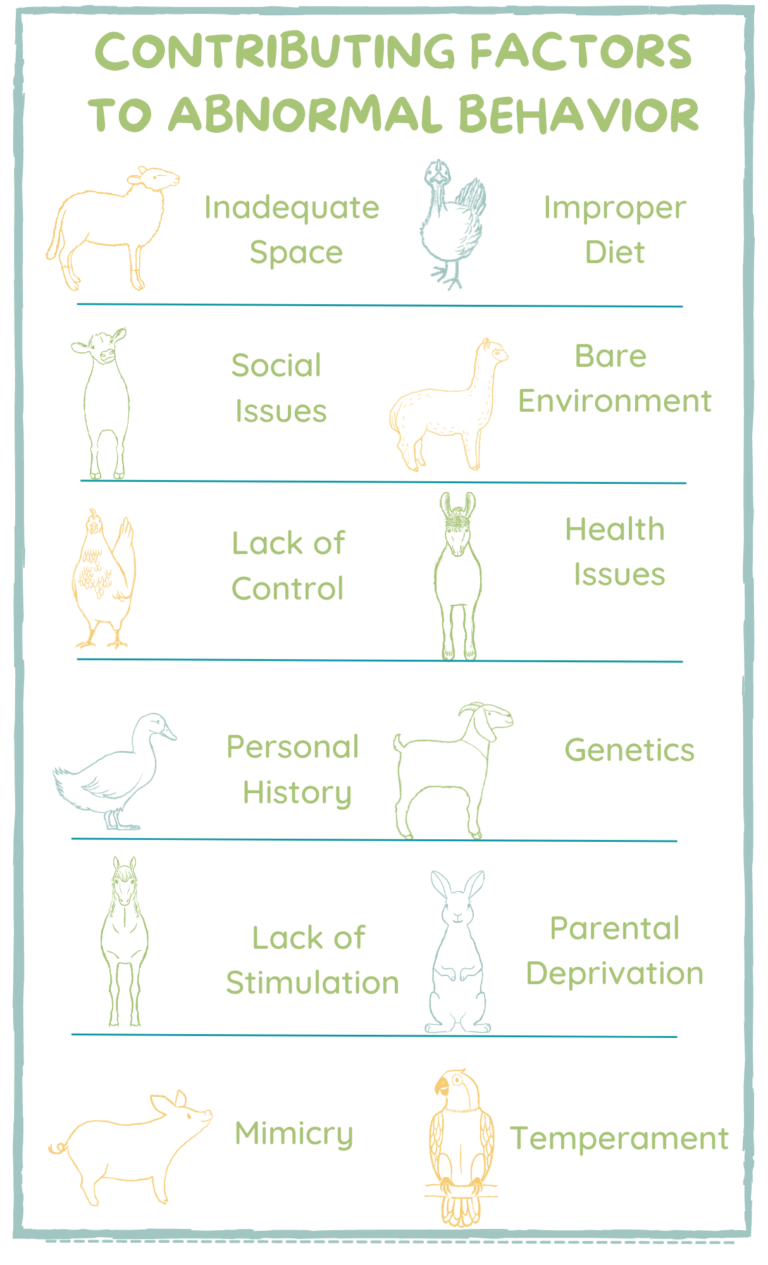 Abnormal Behavior: Causes And Prevention - The Open Sanctuary Project