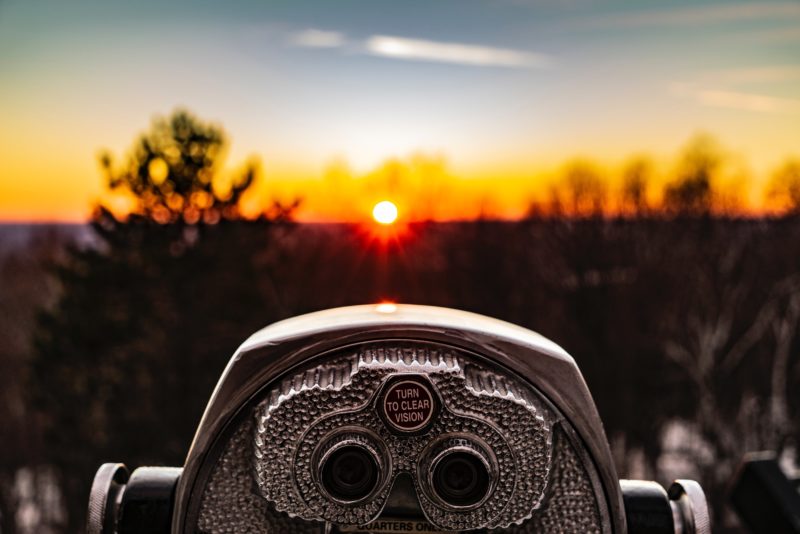 Understanding Mission And Vision Statements For Your Animal ...
