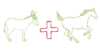 Marvelous Mules: Special Care Considerations - The Open Sanctuary Project