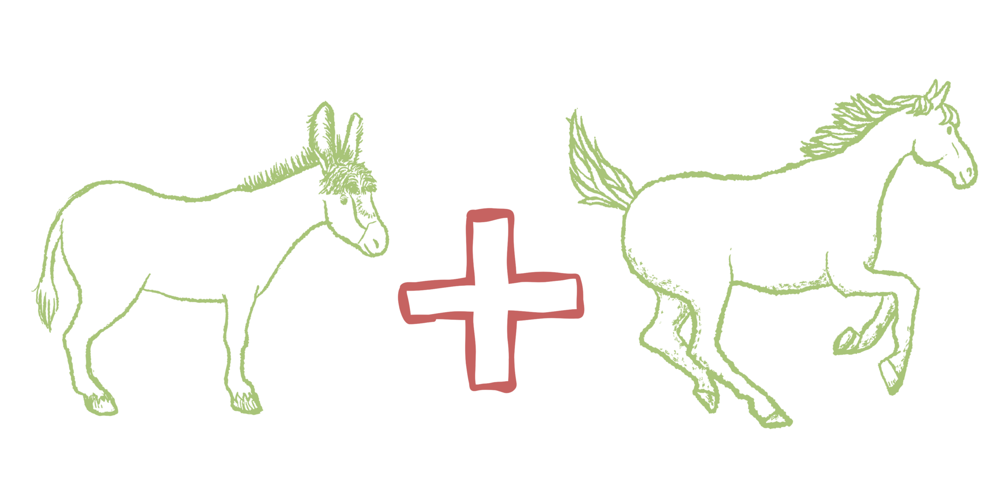 Marvelous Mules: Special Care Considerations - The Open Sanctuary Project