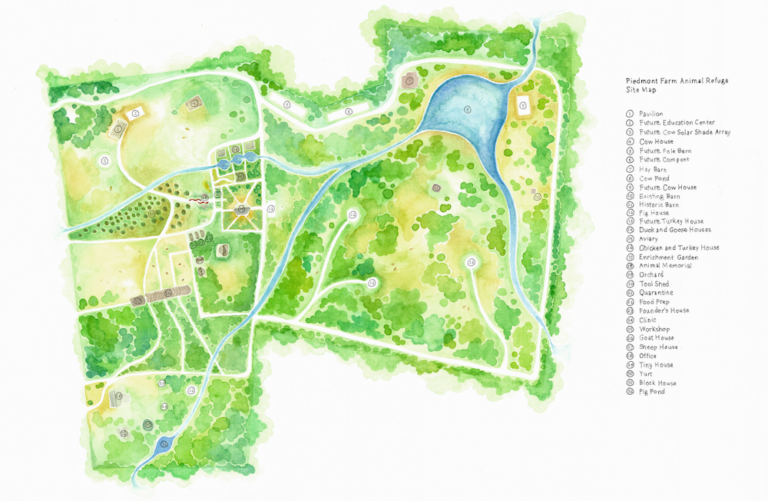 Site Planning At Your Animal Sanctuary - The Open Sanctuary Project