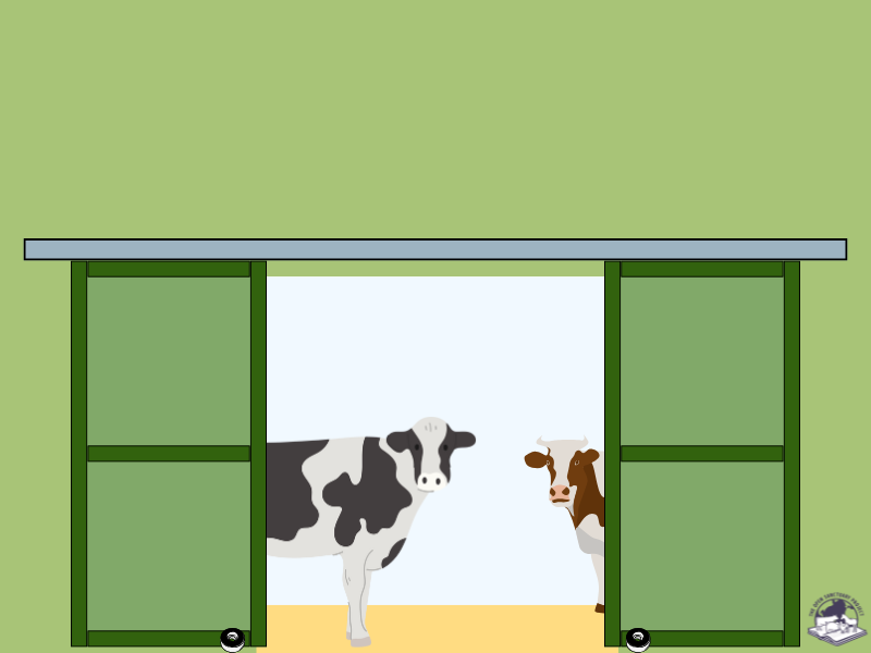 Creating A Good Home For Cows - The Open Sanctuary Project