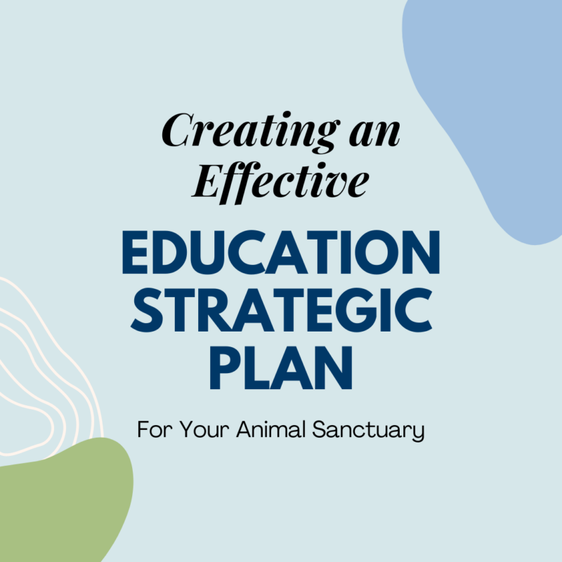 Creating an Effective Education Strategic Plan for Your Animal ...