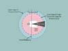 Understanding Flight Zone, Pressure Zone, And Point Of Balance In Sheep ...
