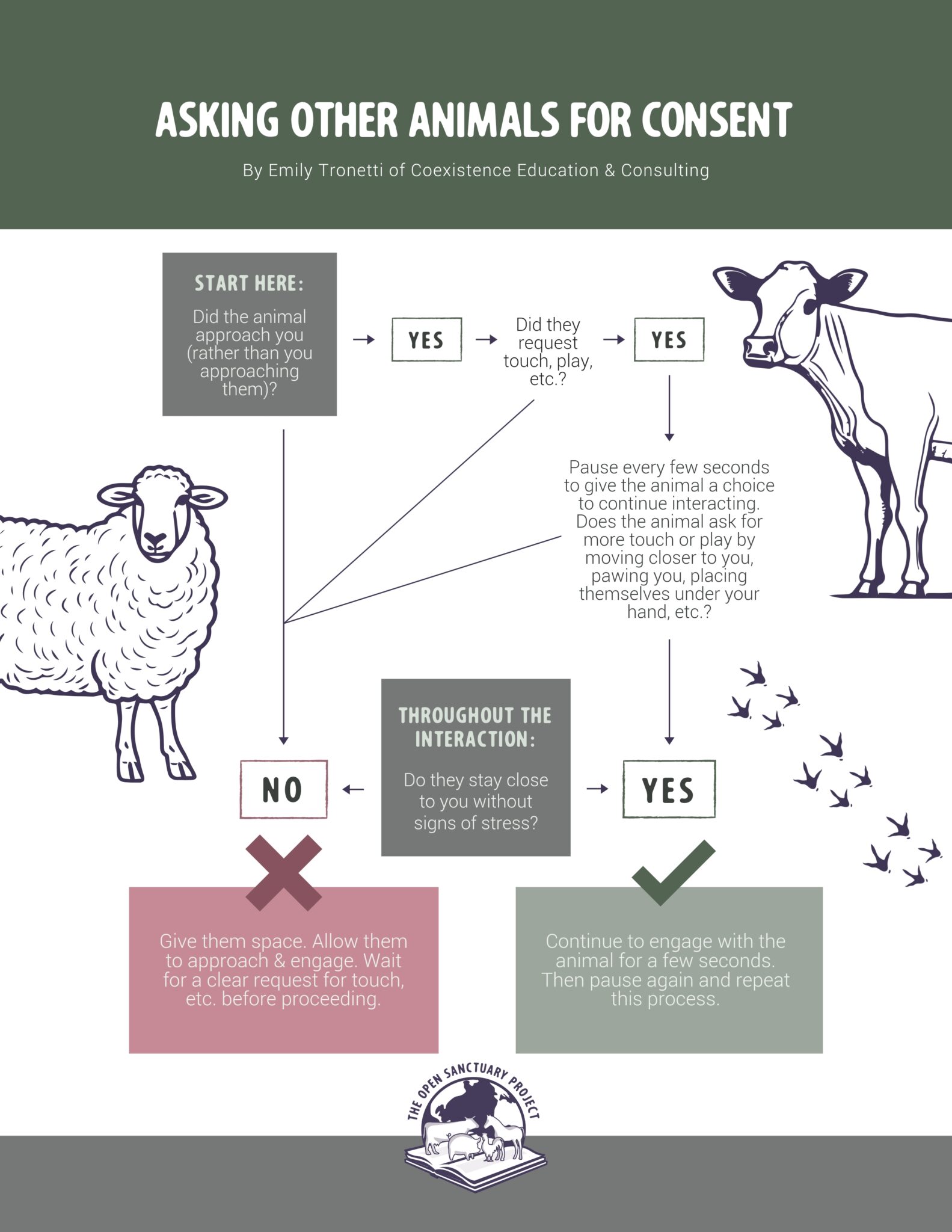An Introduction to Fostering Agency in Farmed Animals at Your Animal ...